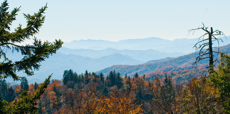 Basic trail conditions and tips for beginners. - auberge-appalaches.com